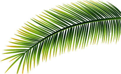 Parc d'attractions - Antibes Land I Antibes face à Marineland